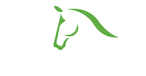 IDA Farm | Equestrian Training Facility | Wellington